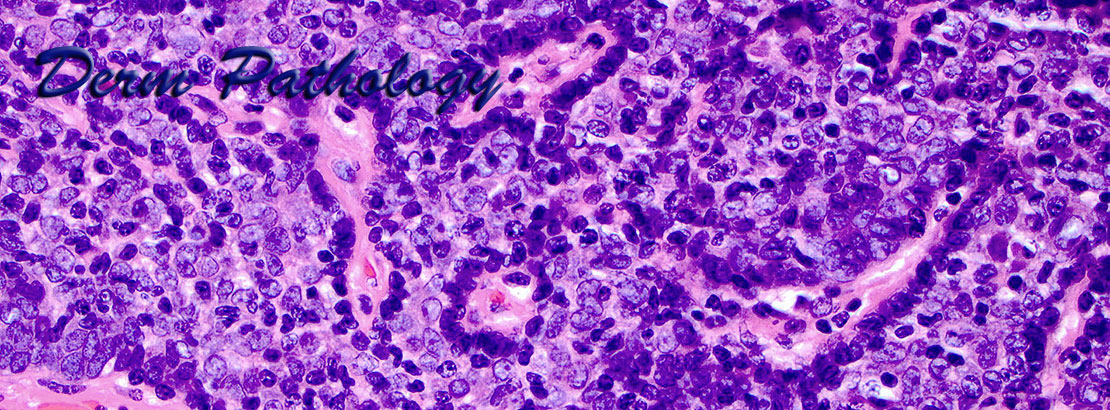 Derm Pathology
